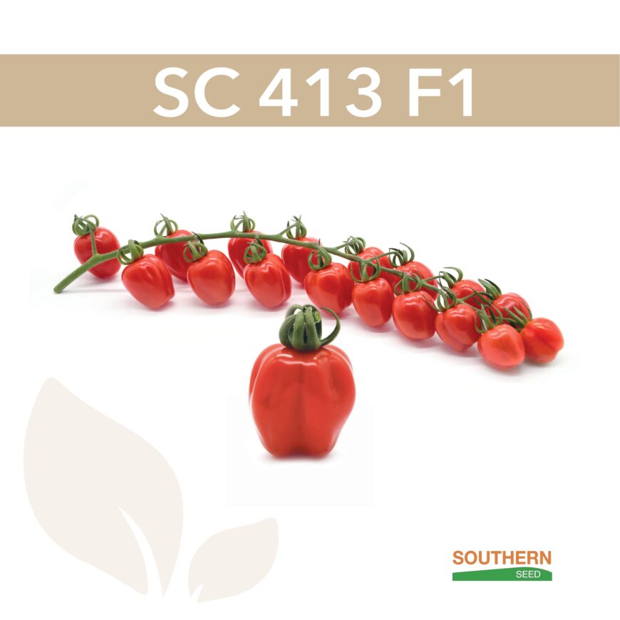 New Varieties – Southern-seed.com
