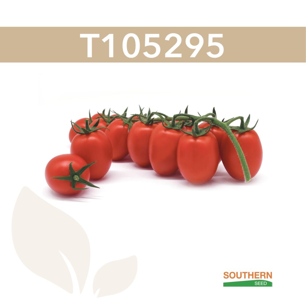 New Varieties – Southern-seed.com